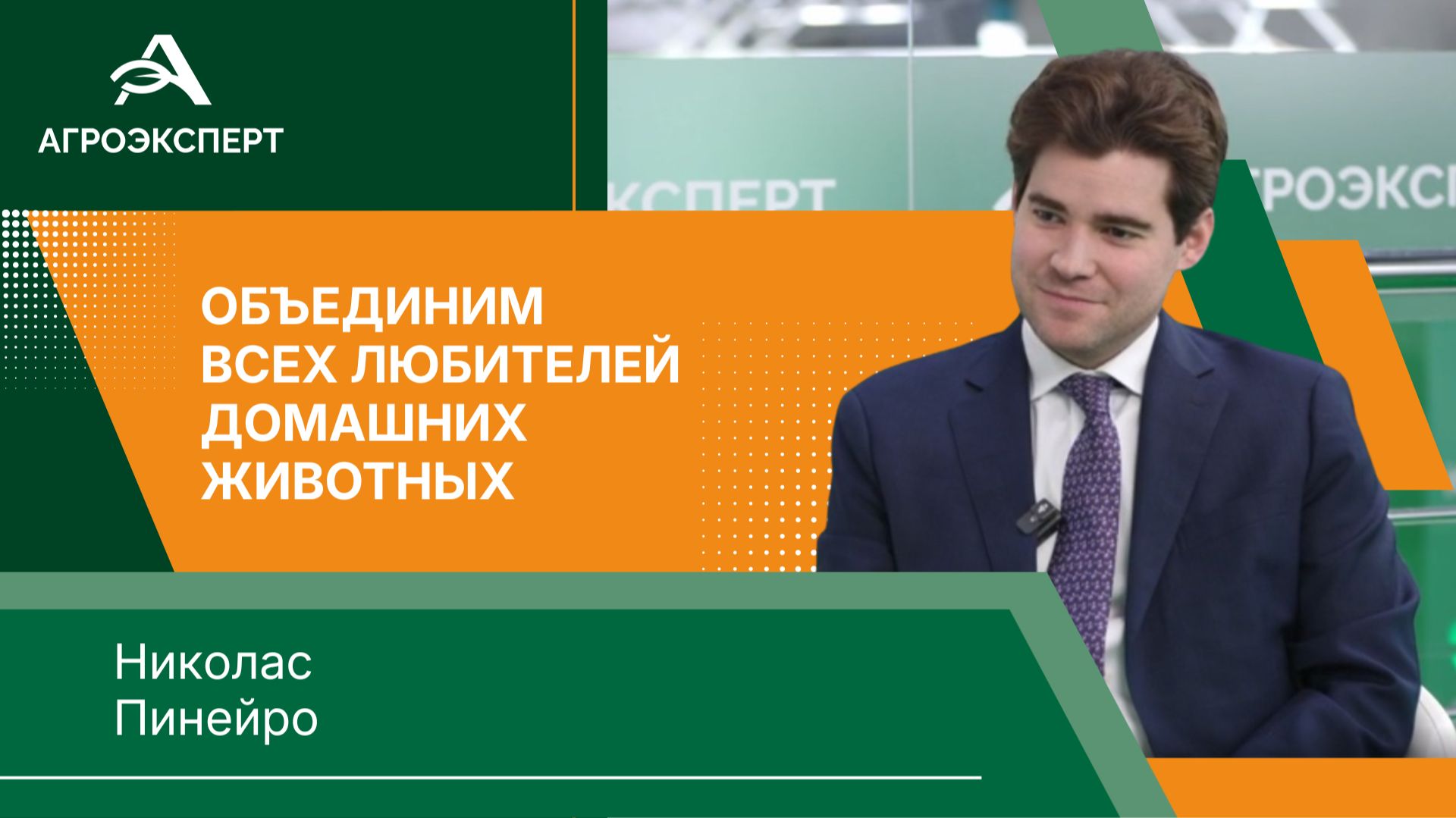 Выставка «Лучшие собаки и кошки России»: как это будет?