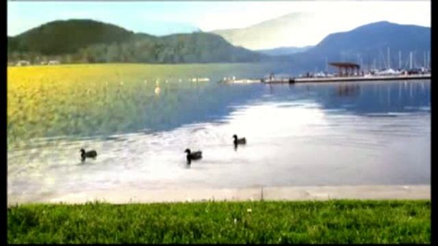 Наши дворовые(Иволга)Werma54