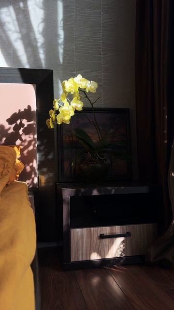 Луч солнца золотого