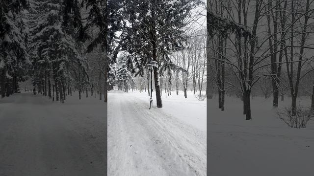 Утро в Нальчике февраль 2026 Ореховая Роща