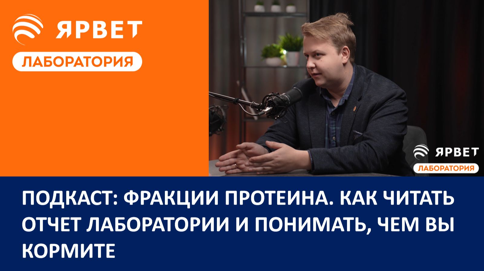 Подкаст: Фракции протеина. Как читать отчет лаборатории и понимать, чем вы кормите