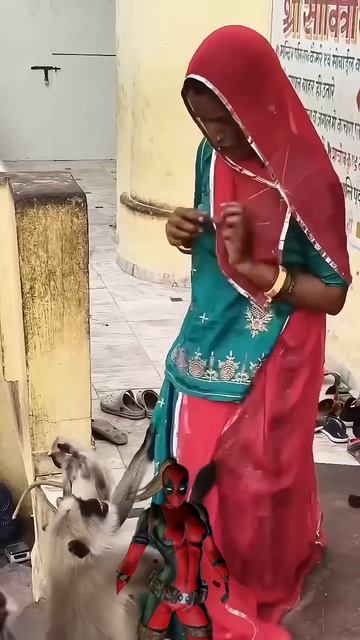 Rom Bim Bom 😼🫶😎