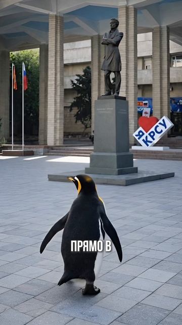 Мы знаем куда на самом деле направлялся пингвин... на День открытых дверей в КРСУ!