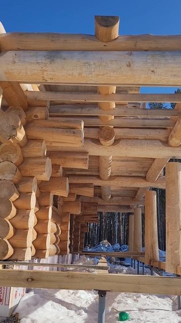 Дом в лесу 290 м2