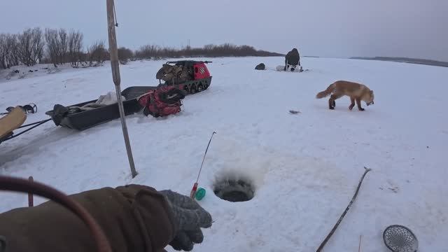 Зимняя рыбалка 3-4.02.2026