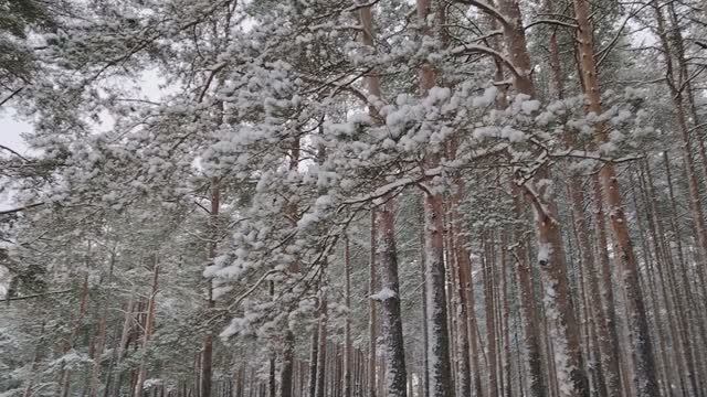 Работа по найму - это аренда наших способностей. Самостоятельное планирование. И другое