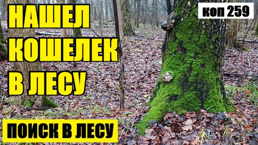 СТОЛЬКО МОНЕТ И ВСЕ В ОДНОМ МЕСТЕ. коп 259