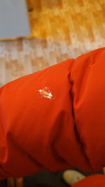 Капец, спасибо птичке 😃😂