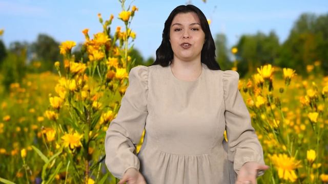 За горами // Музыкальная палитра // Екатерина Сергиенко