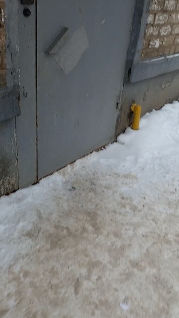 №1252 Двор Г. Звезда 73-Красноармейская 52 31 декабря 2025 г., 15:00:01 VID_20251231_145919989