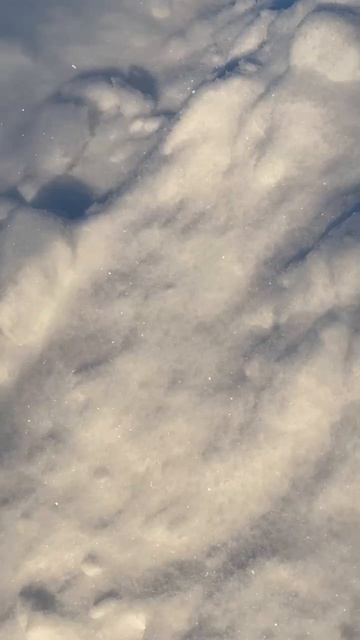 Зимняя прогулка - мороз и солнце!