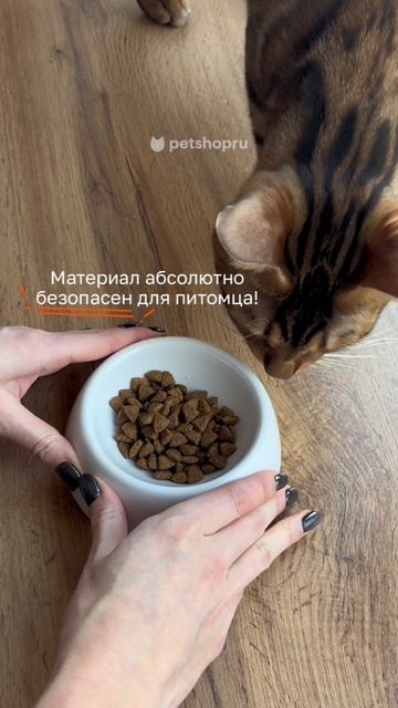 Обзор: PETSHOP Миска керамическая для кошек и собак “Жемчужина” (арт. 67827)