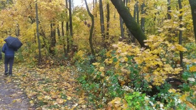 Поездка в село Подмаслово