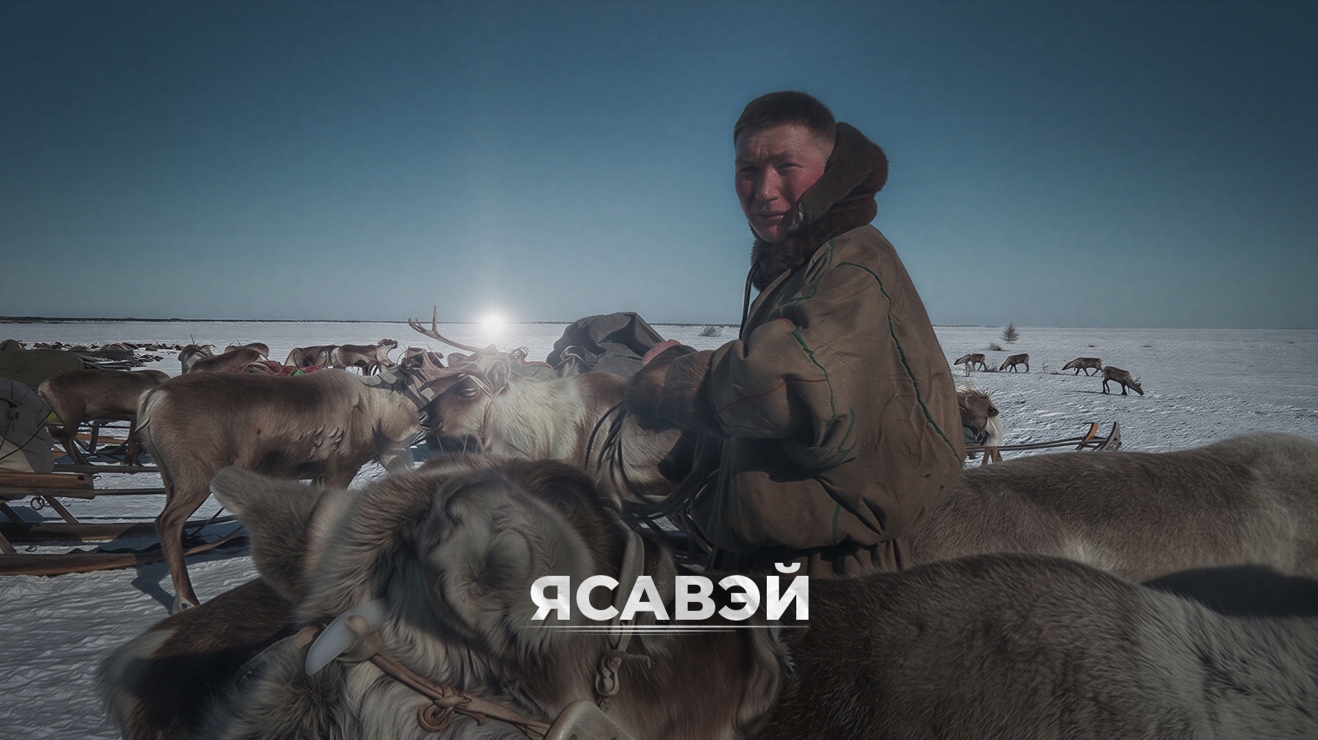 Ясавэй. Кочевник ХХI века | Молодёжь в оленеводстве. Оленеводы ХХI века