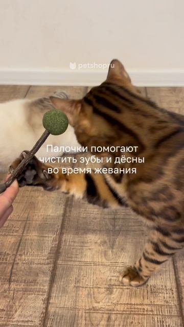 Обзор: PETSHOP Жевательные палочки мататаби с шариками мяты (арт. 65781)