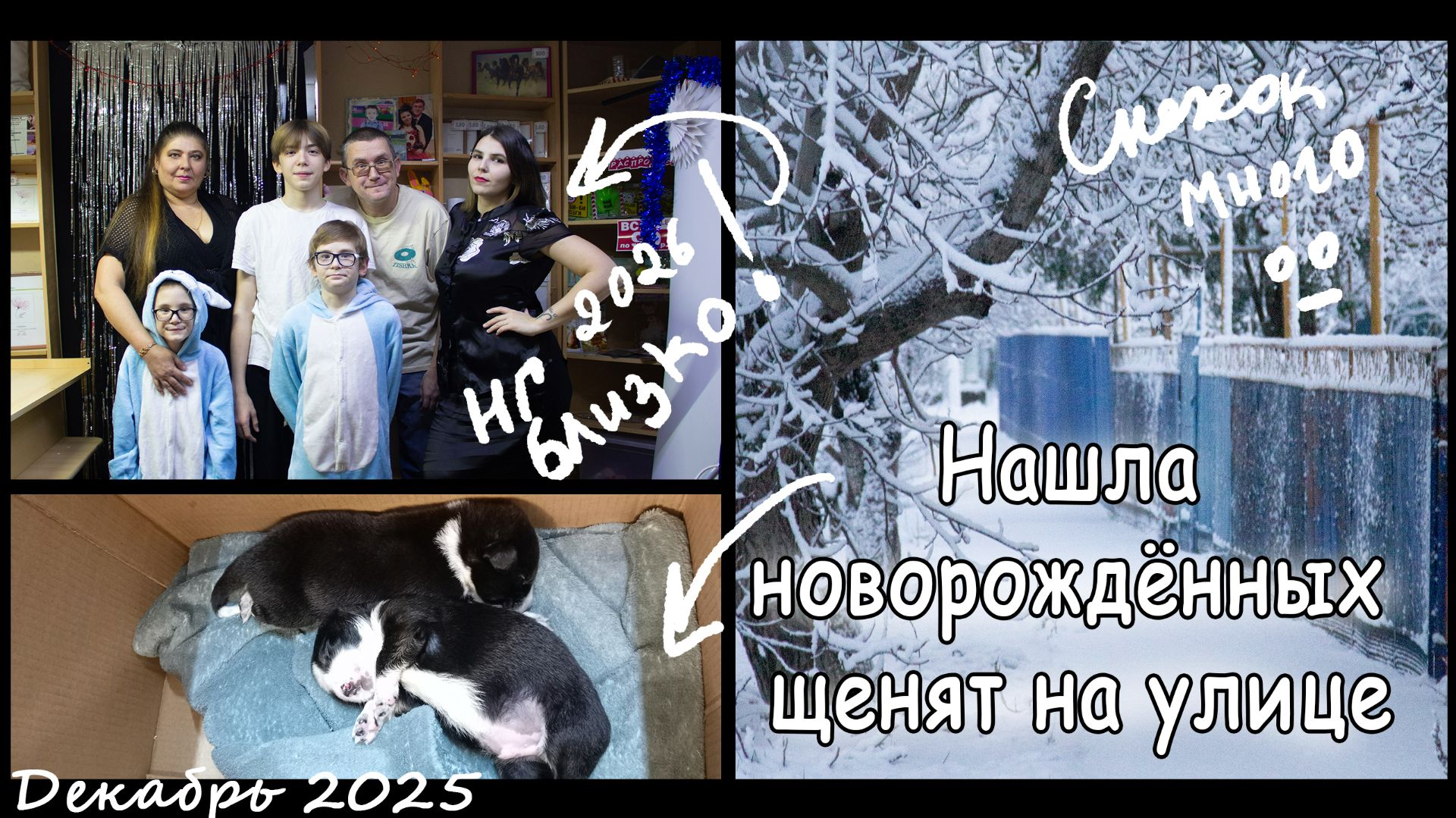 Наш декабрь 2025, НГ близко