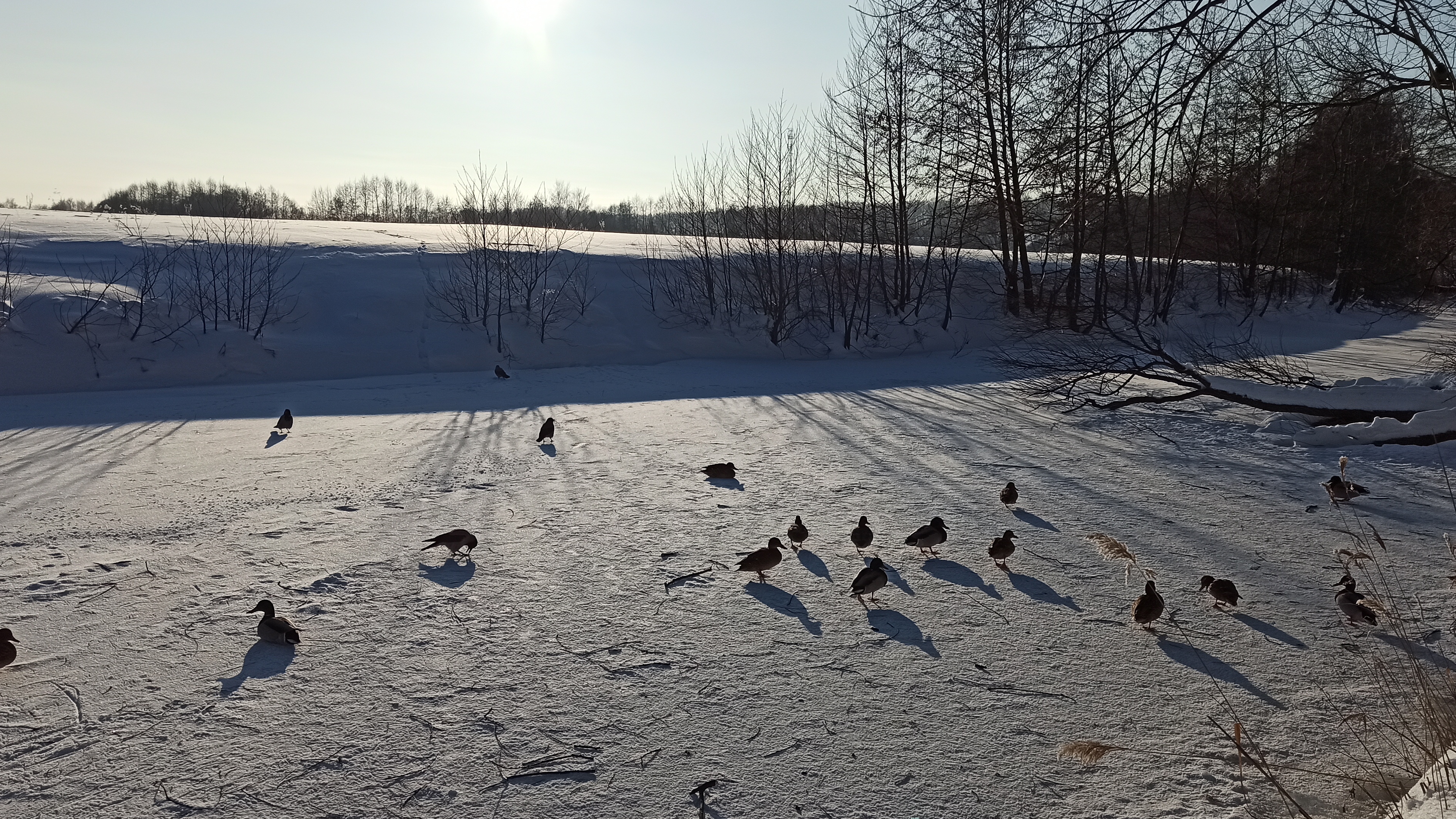 морозы продолжаются