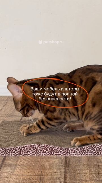 Обзор: PETSHOP Картонная когтеточка-лежанка для кошек и собак "Морской бриз" с мятой (арт. 67428)