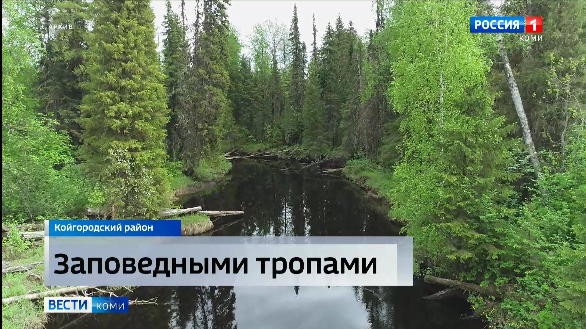 Все больше туристов выбирают отдых в Республике Коми