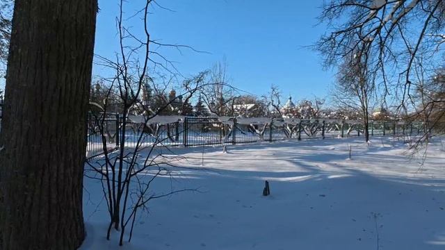 Морозный Оптинский денёк