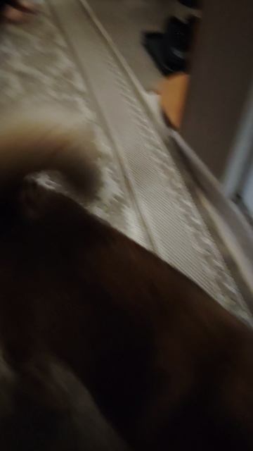 Бонусы РЖД ©20260106