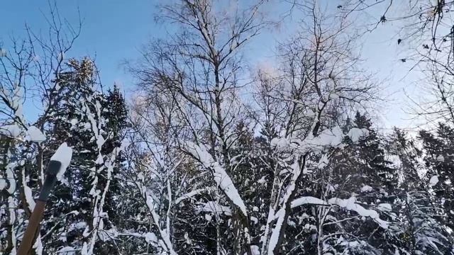 "...Навстречу утренней аврое звездою севера явись..."