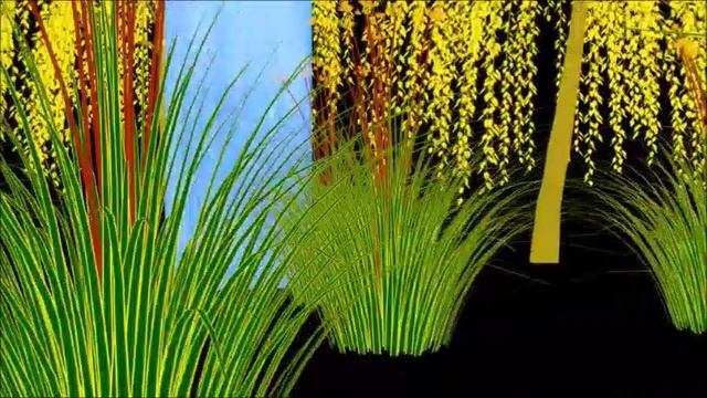 Анимация(дансе)