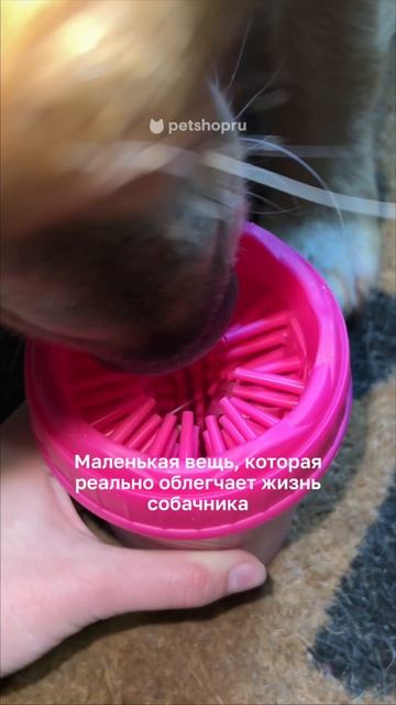 Обзор: PETSHOP Лапомойка (арт. 66379)