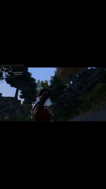 #Skyrim красивая природа Саммерсета!