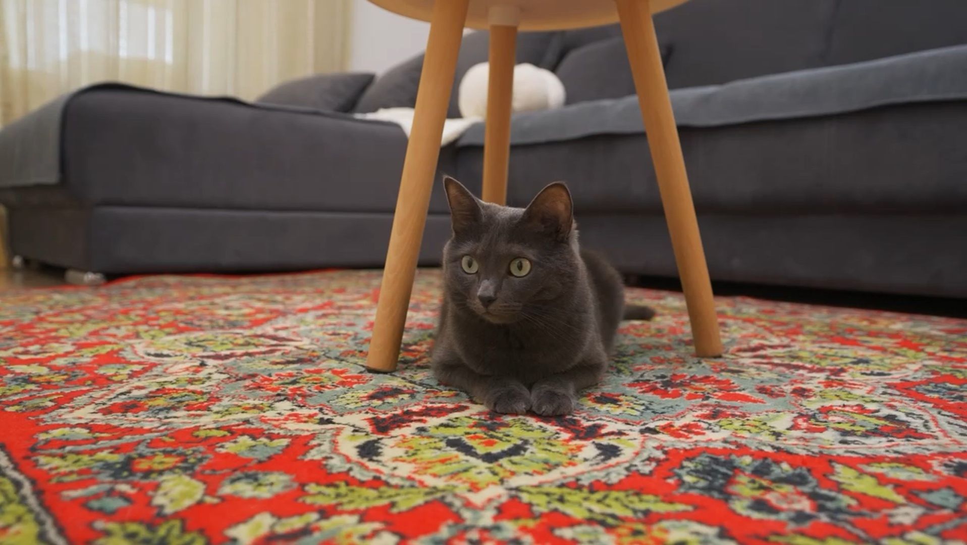 Отзыв жителей ЖК «Финский квартала» Алексея и Анастасии Туровских