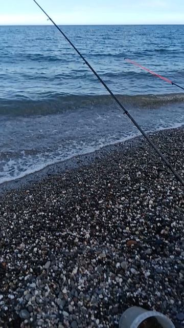 Рыбалка , море, солнце, отдых, читайте описание,