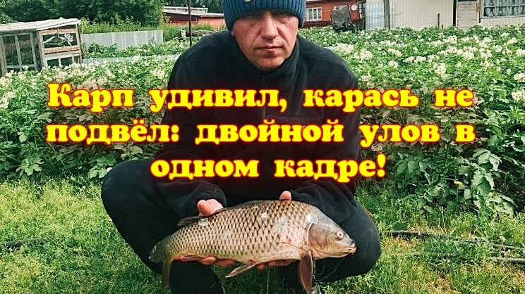 Рыбалка в Плотниково.  «Двойной улов: карась и карп в одной истории».