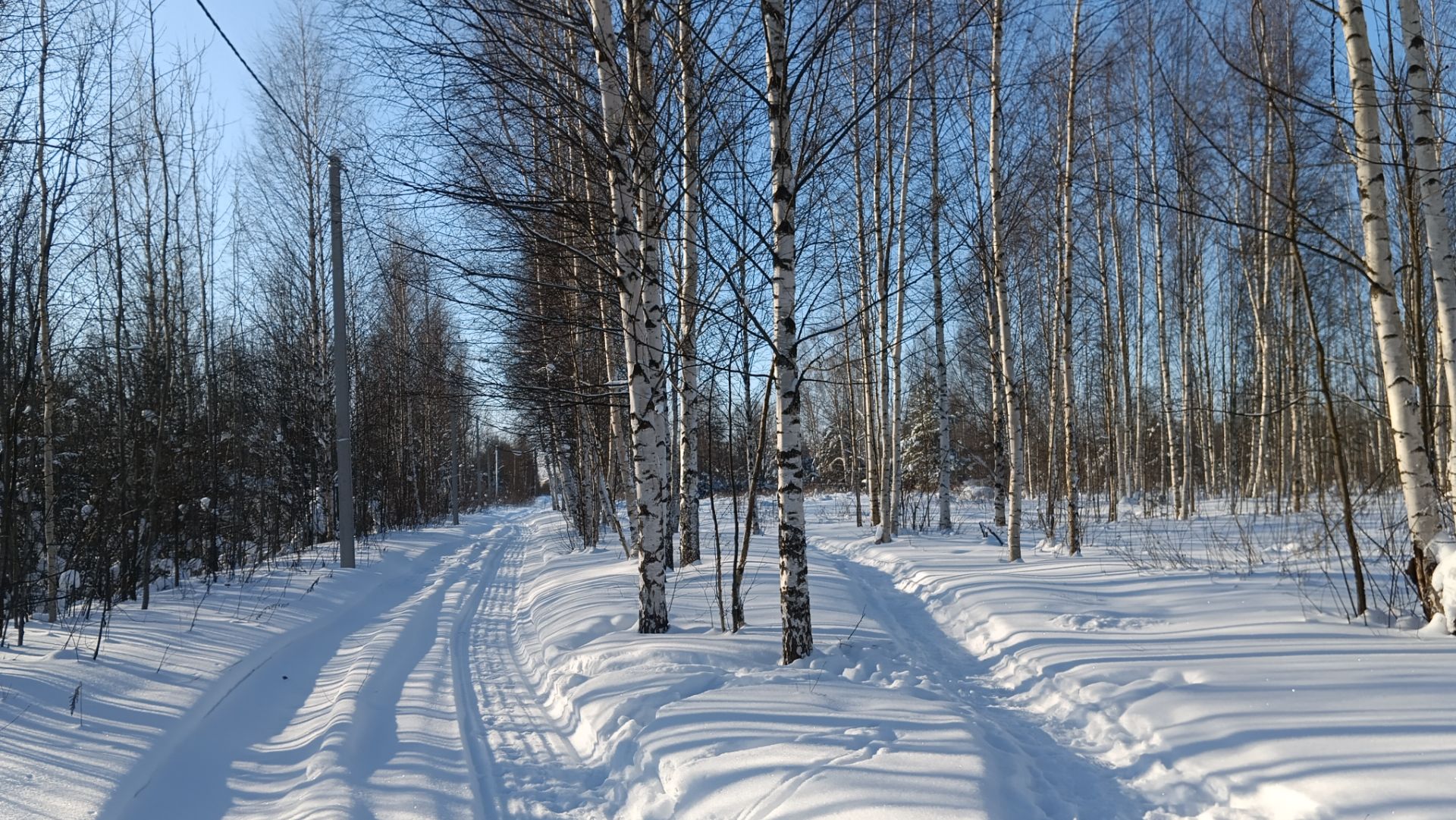 Капуста на снегу. Мороз и солнце ☀️ день чудесный.