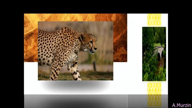 Cities In The Clouds 56