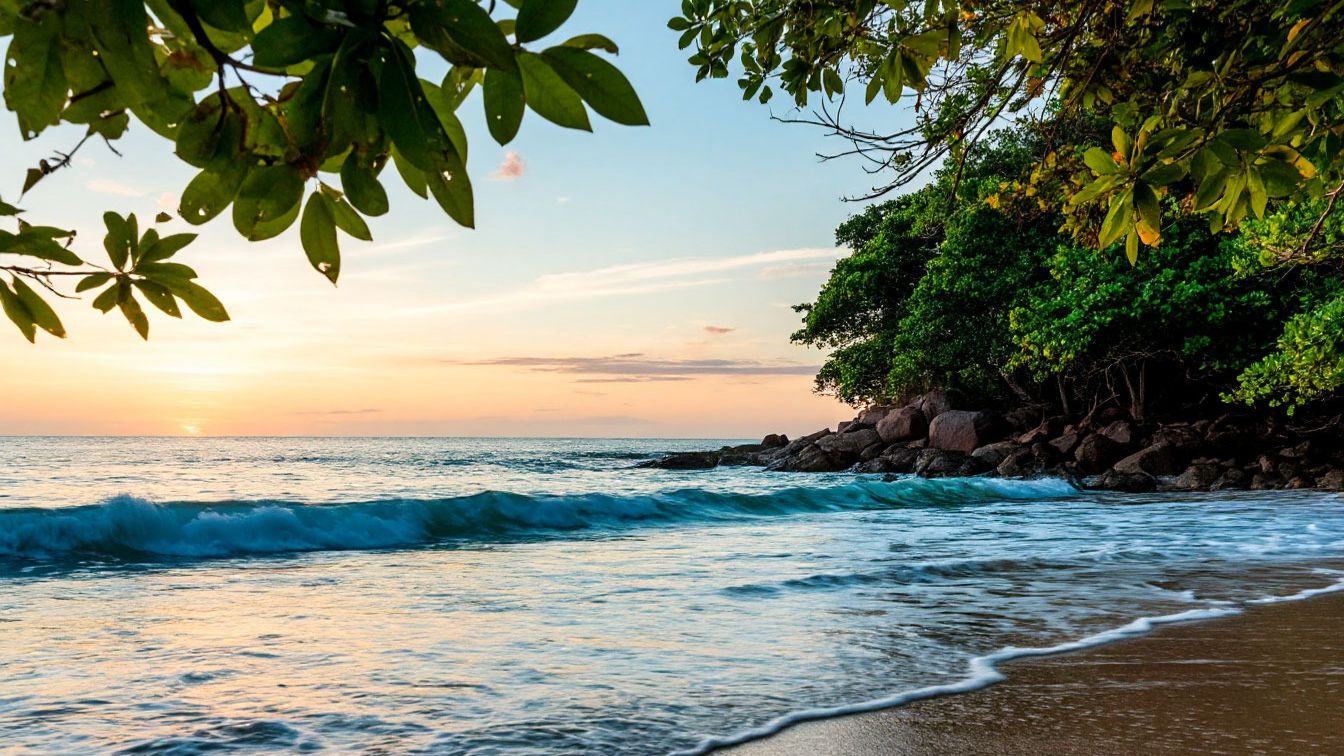 Лунный свет