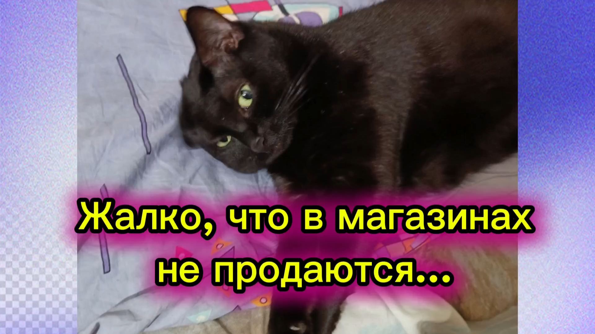 КОШКИ С ОЗВУЧКОЙ.