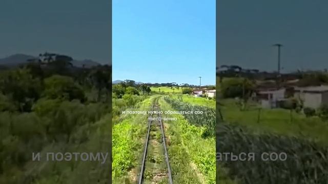 Как выйти из состояния апатии? — Психолог Александра Боровикова