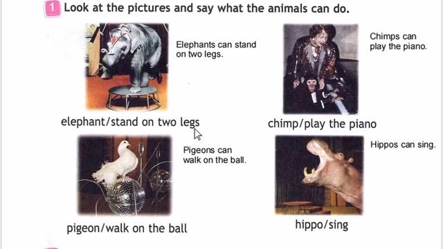 SPOTLIGHT 3 учебник 2 часть страница 76 (146)