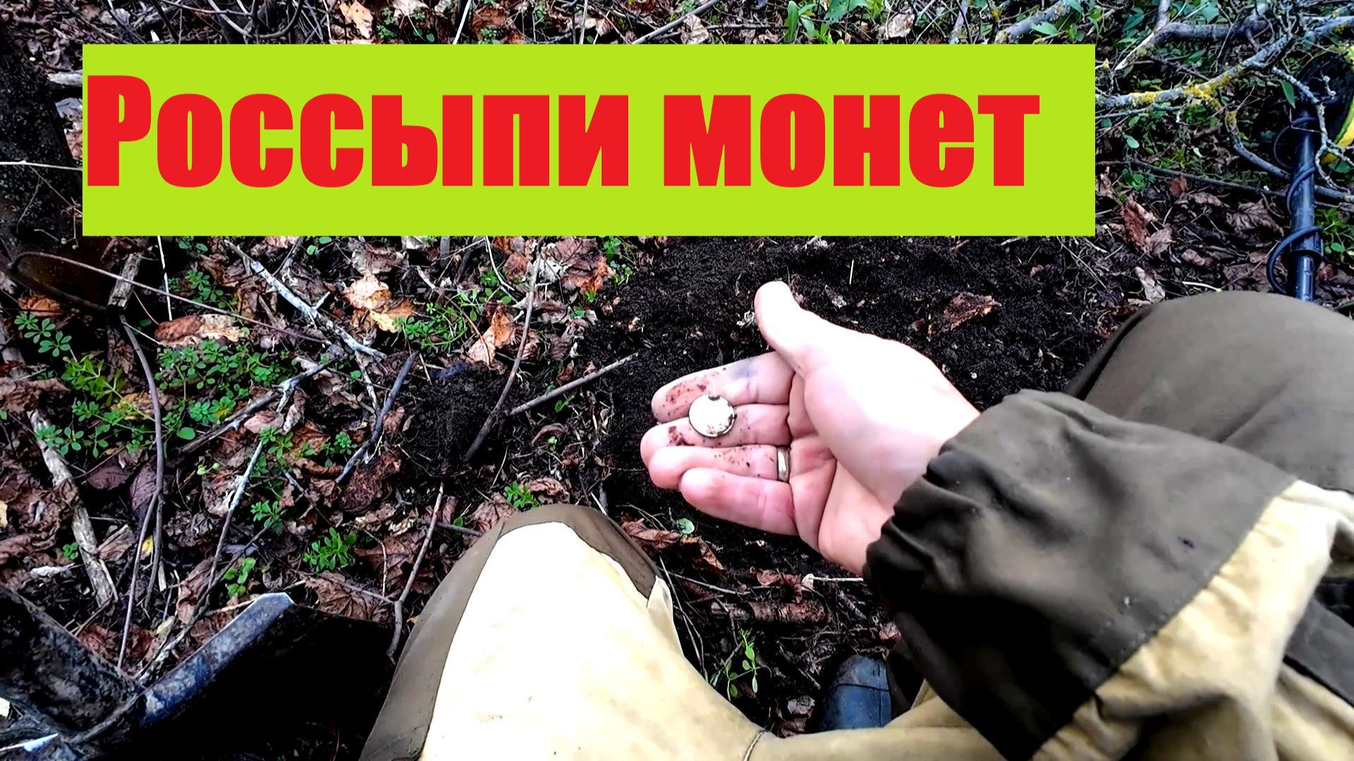 Собираю монеты в лесопосадке.