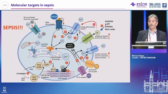 Molecular targets in sepsis Mervyn Singer