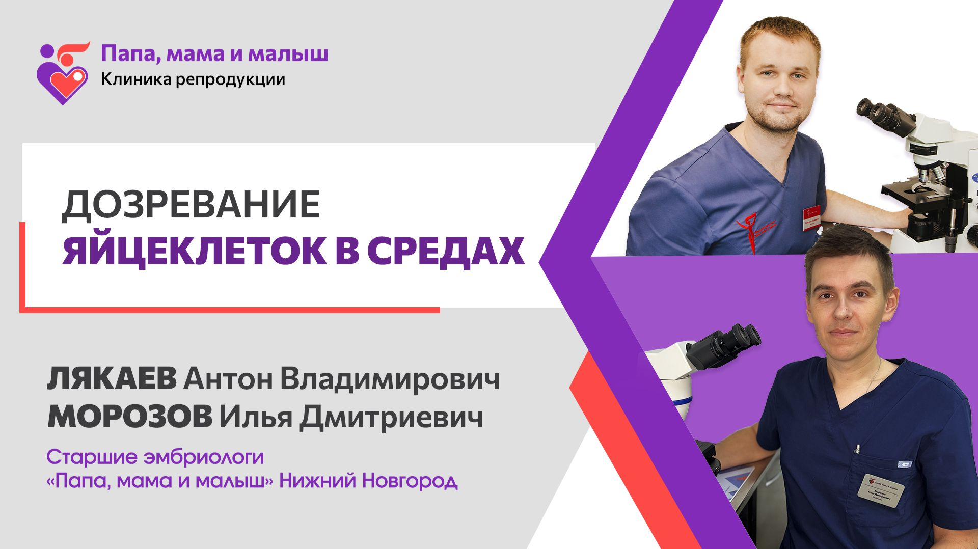 Дозревание яйцеклеток