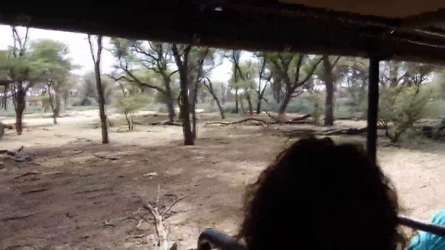 Африка, Намибия — савана часть 2