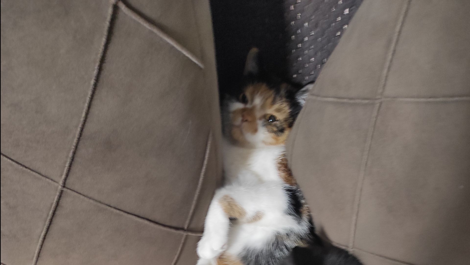 43ec003e1afc2b260aa5a3de2104dded_1769533088932