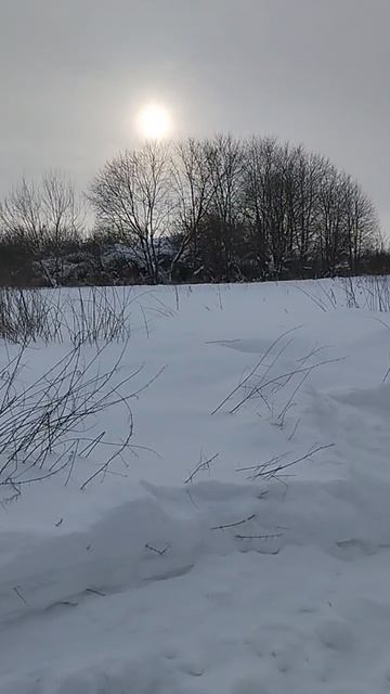 д Маклаково 50:18:0070308:564