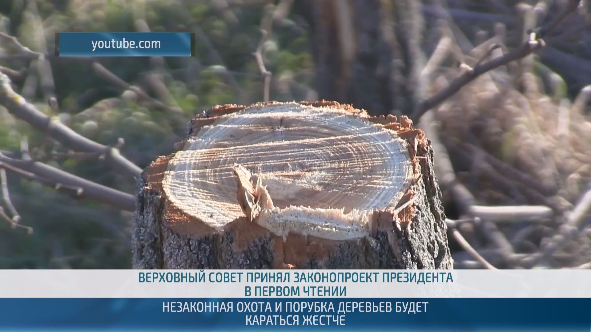 Законопроект Президента о защите природных ресурсов ПМР принят в первом чтении – 5.02.2026