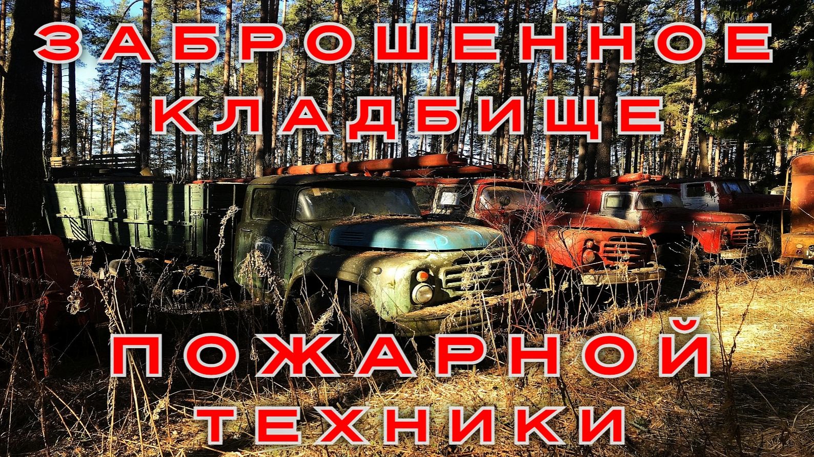 Кладбище пожарной техники в лесу