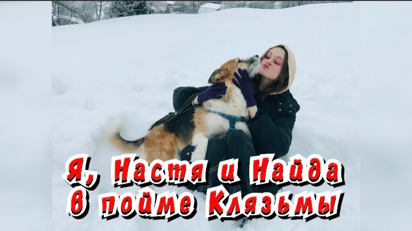 Я, Настя и Найда в пойме Клязьмы / Архив от  21.12.2022