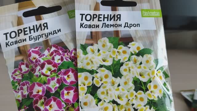 БОЛЬШОЙ ОБЗОР СЕМЯН ОЧЕНЬ КРАСИВЫХ ЦВЕТОВ #семена #семенацветов #обзорсемян #обзорпокупок #цветы