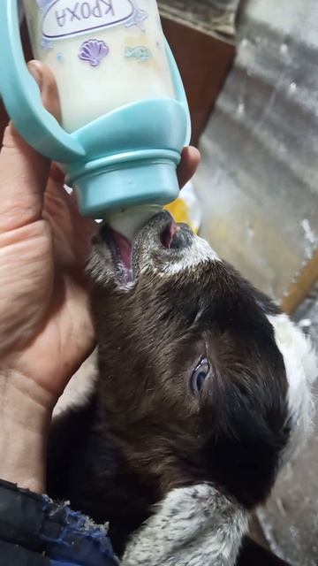 Когда мама заболела