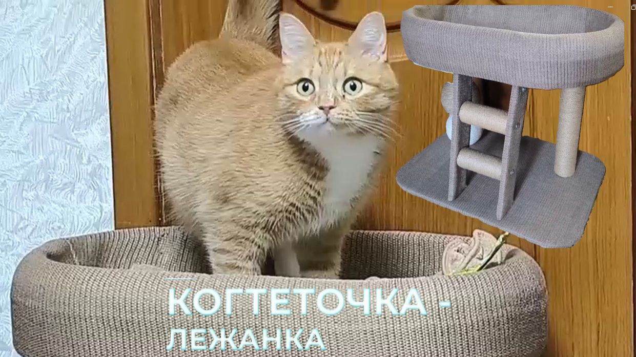 Как собрать лежанку с когтеточкой для кота. Новая лежанка с когтеточкой для кота Лютика. # кот